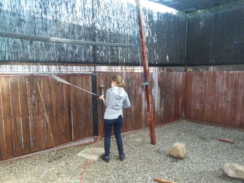 California Wildlife Center in the Woolsey Fire | California Wildlife Center