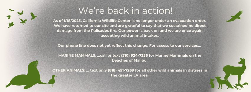 California Wildlife Center - Protecting California's native wildlife